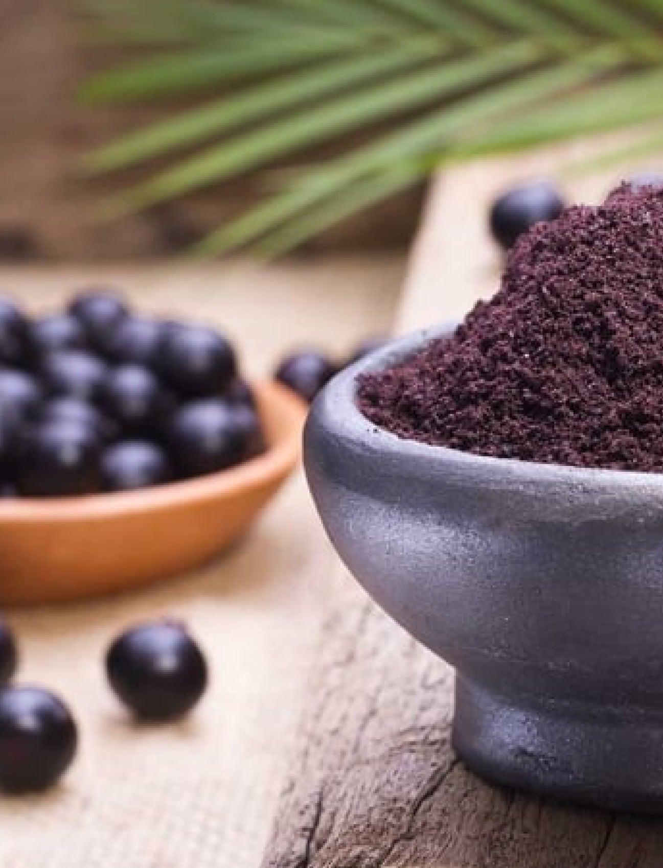 News – Acai Berry